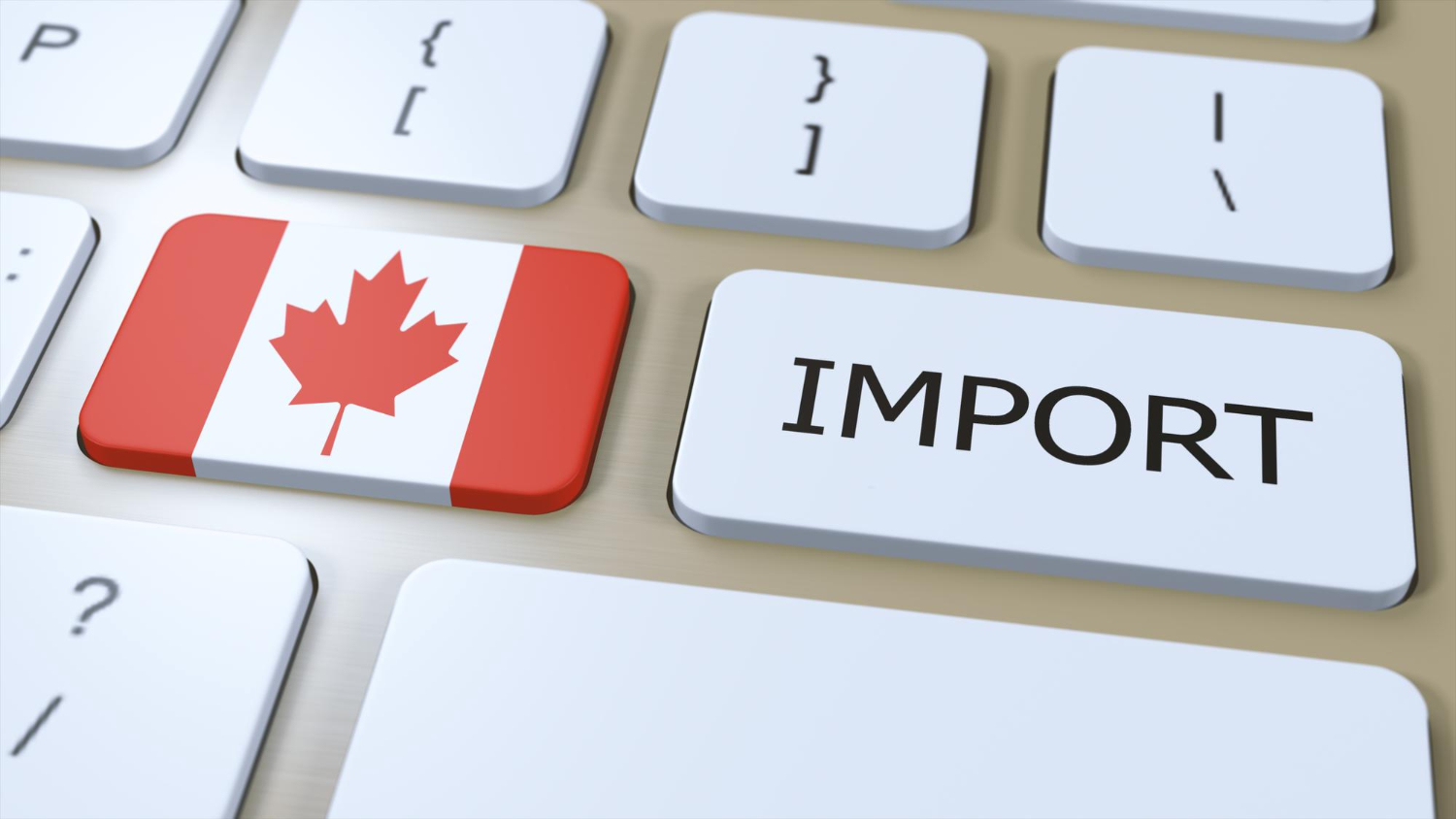 CARM Explained: What Importers Need to Know About Canada’s Customs ...