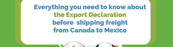 Everything you need to know about the Export Declaration before ...